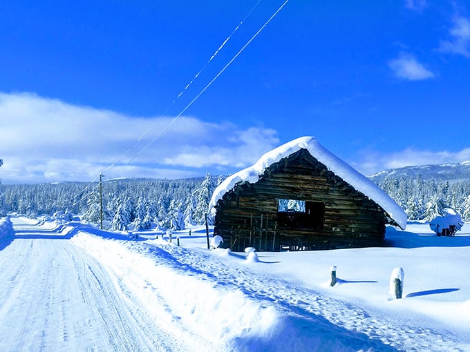 Seeley becomes a quiet winter wonderland, where snow-draped pines and stillness create nature&rsquo;s own peaceful retreat in the Montana wilderness.