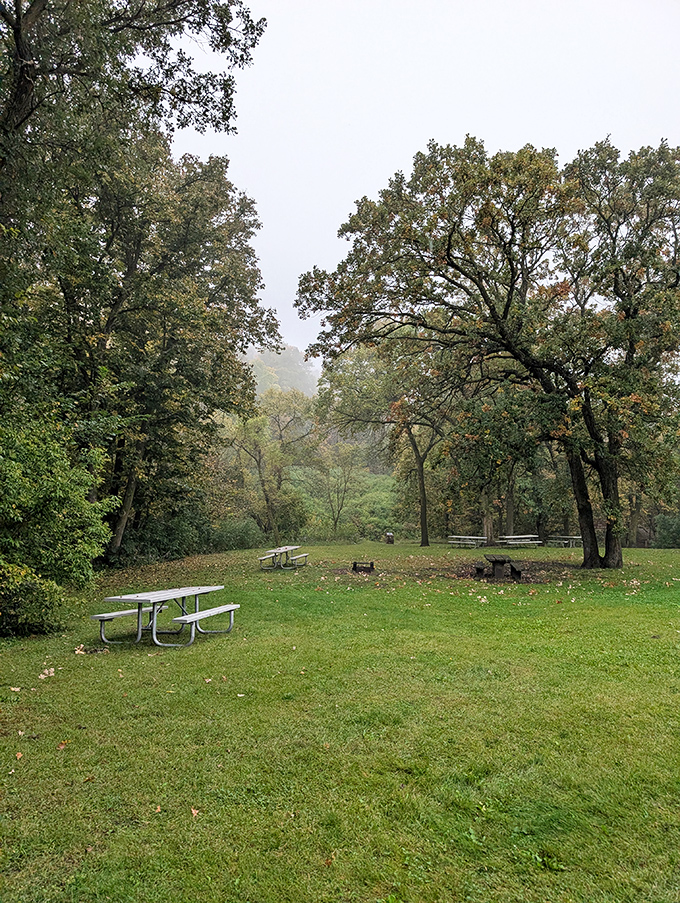 A trail winding through dense forest, inviting you to discover what's around the bend&mdash;hopefully not a bear with a picnic basket.