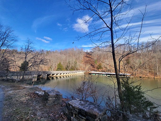 Winter's stark beauty transforms this landscape into something Ansel Adams would have loved photographing.