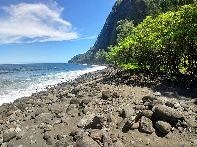 Waipi'o's dramatic black shoreline meets towering green cliffs in a landscape that feels almost prehistoric. Jurassic Park without the dinosaurs&mdash;though equally awe-inspiring.