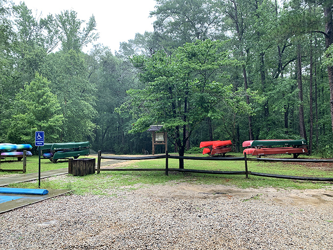 Colorful kayaks waiting patiently for their next adventure down this peaceful waterway to nowhere special.