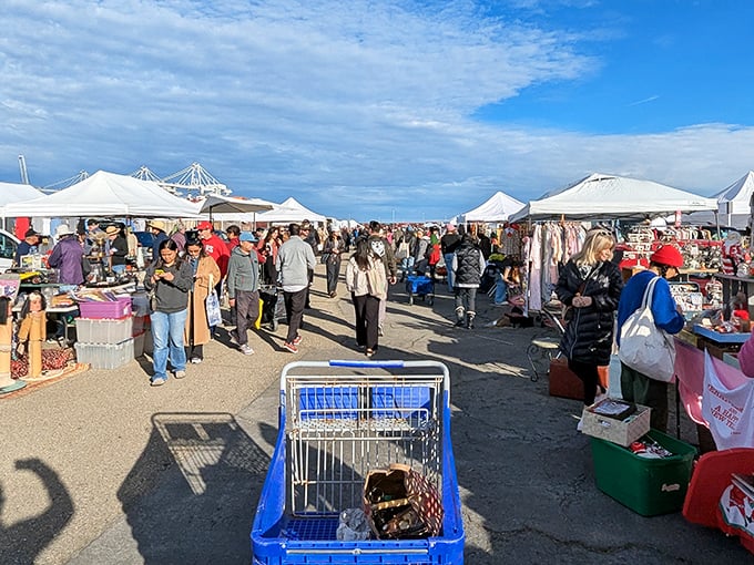 Treasure hunters navigate the bustling aisles at Alameda, where shopping carts become modern-day pirate ships for booty.