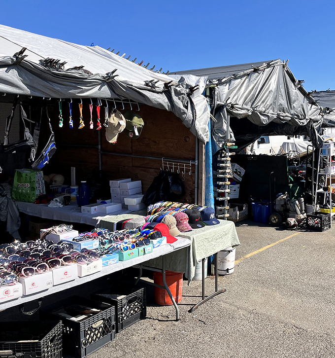 AquaDuck's casual setup encourages browsing adventures where unexpected discoveries hide among tables, blankets, and makeshift displays everywhere. 