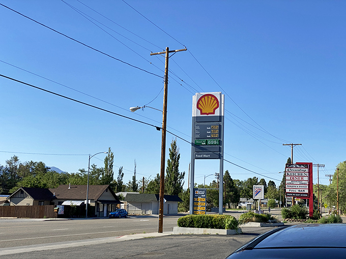 Big Pine makes even the most ordinary Tuesday feel like you're living in a nature documentary.