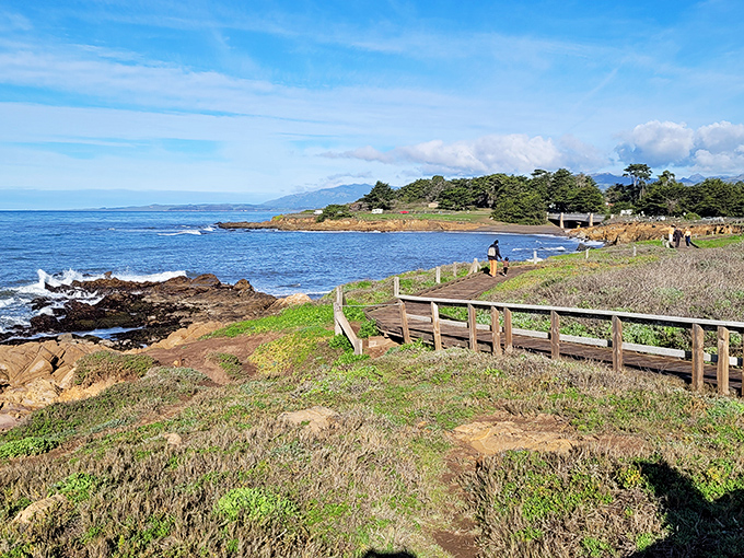 Cambria's coastal boardwalk stretches along moonstone beaches where every step reveals nature's hidden treasures below.