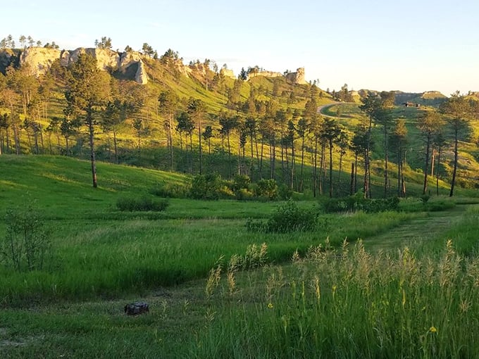 In Chadron, the sun glows against the pine-covered hills, casting a warm light that gives the town a peaceful, grounded, and endlessly inviting charm.