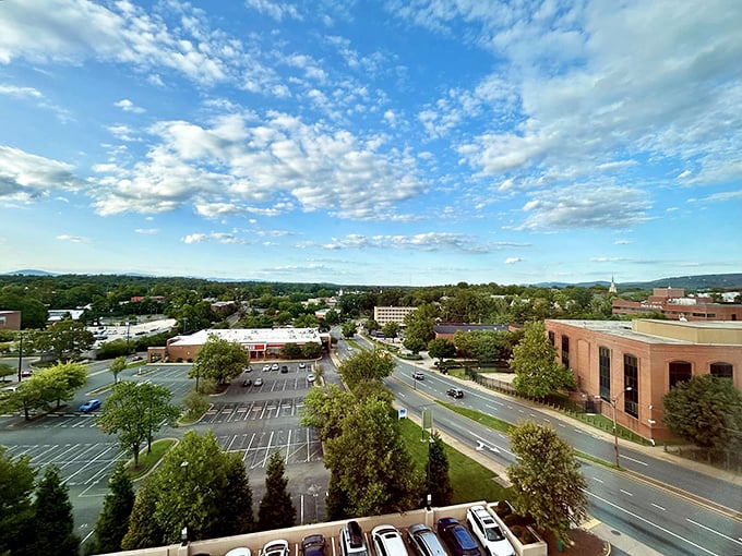 These tree-lined streets show why Thomas Jefferson chose this spot - beauty and brains go together.