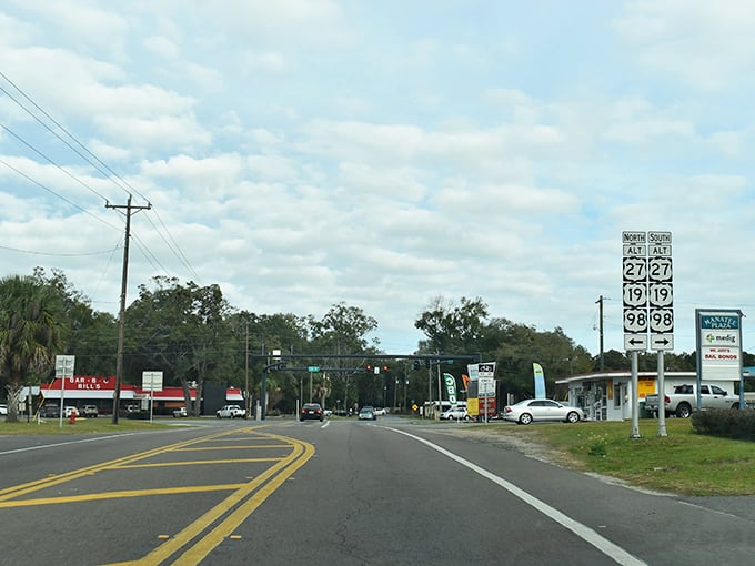 Chiefland's main street offers a glimpse of authentic Florida living. No tourist traps, just genuine small-town charm.