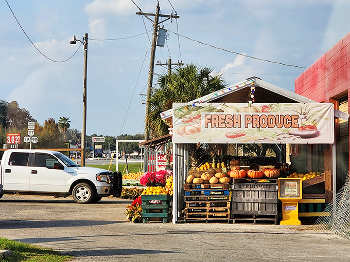 Fresh produce stands in Chiefland offer farm-to-table eating without the fancy restaurant markup. Budget-friendly deliciousness!