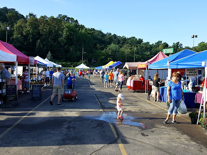 The Chillicothe market turns a simple lot into a lively scene. Colorful tents, friendly vendors, and even a puddle splash keep things fun.