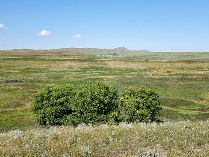 Golden grasslands sway gently, reflecting the slow and simple pace of Montana living.