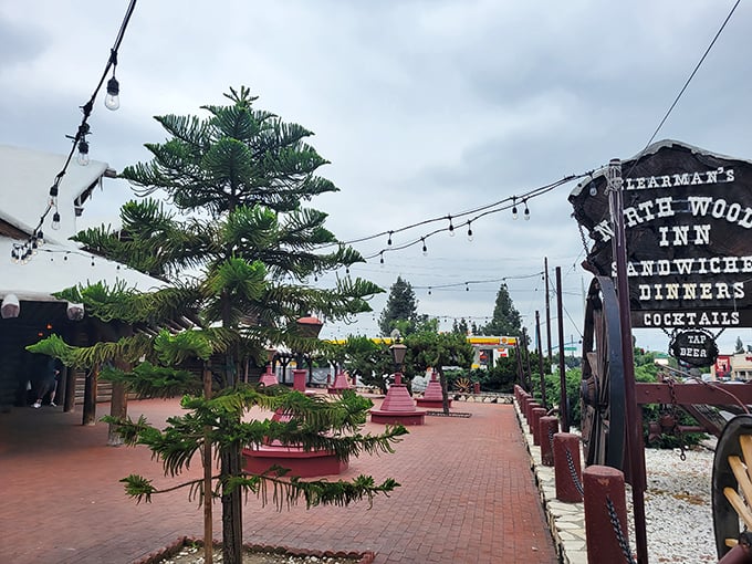 String lights and evergreens create a year-round Christmas card setting. Santa would skip the cookies for Clearman's prime cuts any day.