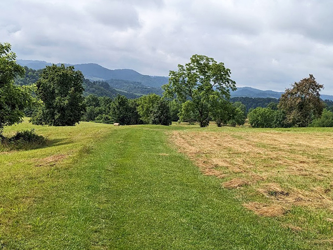 Rolling meadows with mountain views at Clinch River State Park &ndash; Mother Nature showing off her best side on a perfect Virginia day.