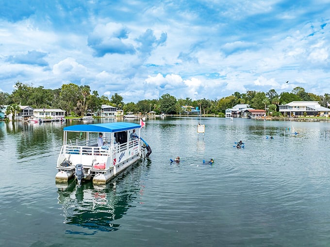 Floating through paradise in Crystal River, where every day feels like you've stumbled into a Florida postcard.