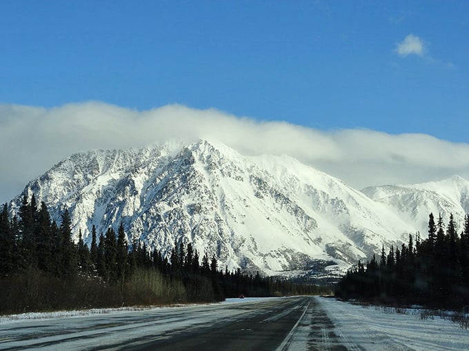Winter driving in Delta Junction: where the commute views rival National Geographic spreads, all included in your affordable retirement package!