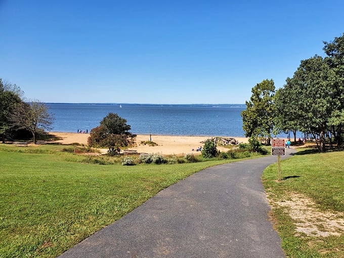 The Chesapeake Bay stretches to the horizon at Elk Neck State Park. Maryland's answer to an ocean view!