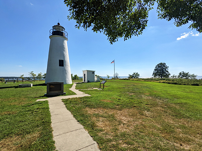 Turkey Point Lighthouse stands like a friendly sentinel, watching over the Chesapeake since before Instagram was a thing.