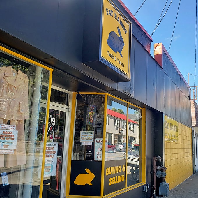 The quirky rabbit logo promises an experience that's more curated collection than typical thrift store.