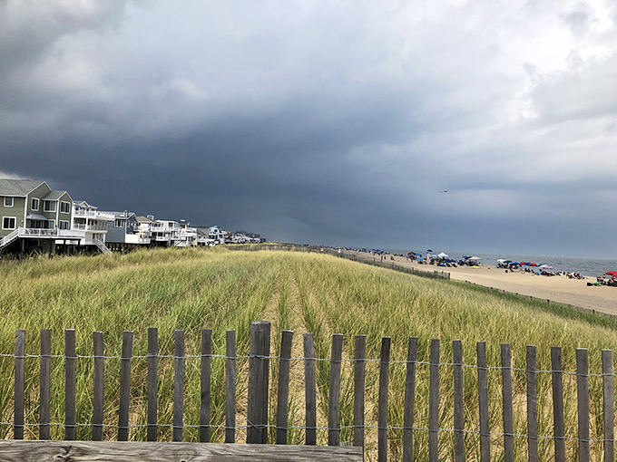 Fenwick Island's dunes and fences create nature's perfect frame for the Atlantic beyond. Some views need no filter&mdash;just time to soak them in!