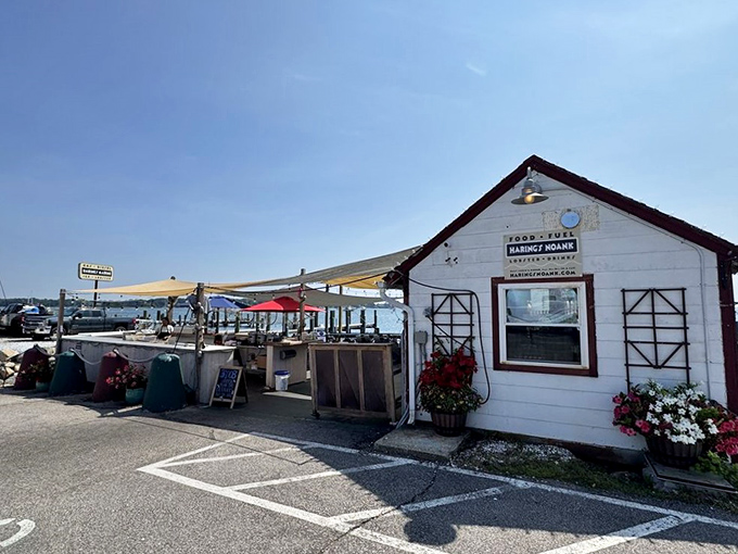 Stars, stripes, and lobster delights! Haring's waterfront spot captures the essence of Connecticut's proud maritime heritage.