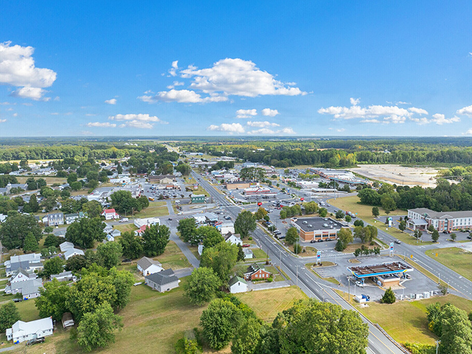 This aerial view of Harrington reveals a town that's mastered the balance between growth and keeping its soul intact.