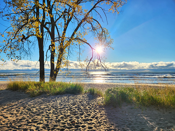 Sunset paints the sky gold at Kohler-Andrae State Park's beach. Lake views that beat any five-star resort's infinity pool!