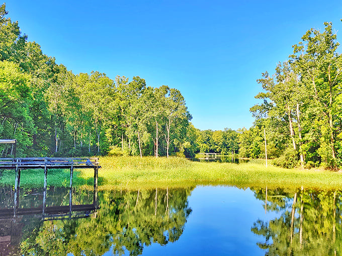Nature's air conditioning at work. Maybury's shaded woodland paths provide the perfect summer escape from suburban heat.