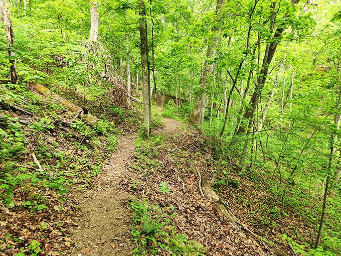Hiking trails at Meramec State Park offer peaceful forest immersion. This path practically begs you to follow it around the next bend.