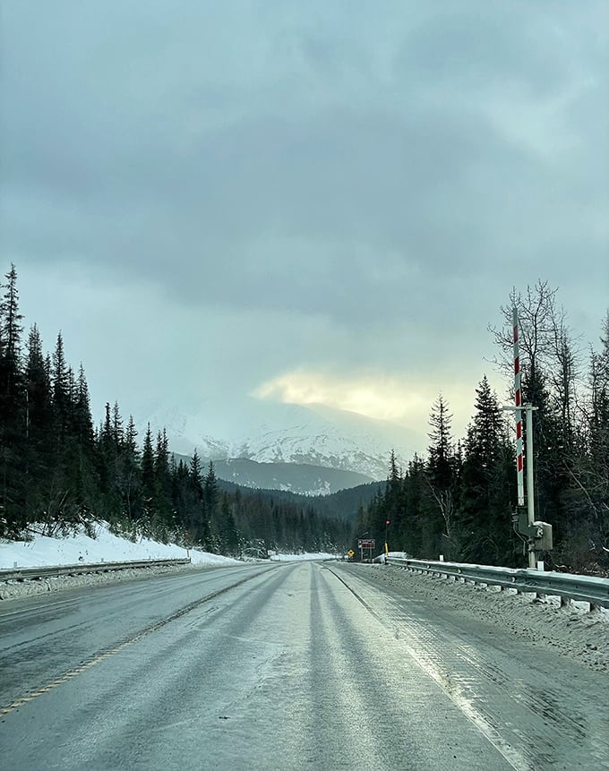 Mountains cradle Moose Pass like protective parents, creating a postcard-perfect setting for a town smaller than some shopping malls.