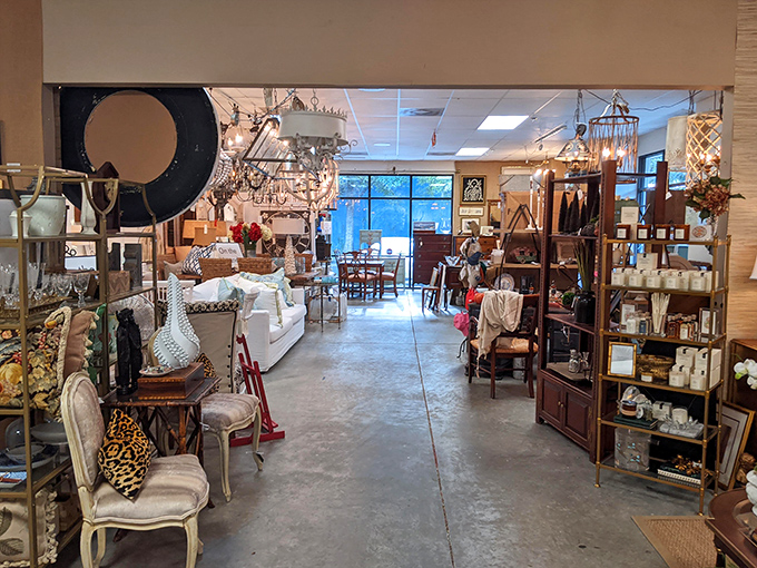 Bright, organized spaces make treasure hunting a pleasure. This place is cleaner than my house before unexpected company arrives!