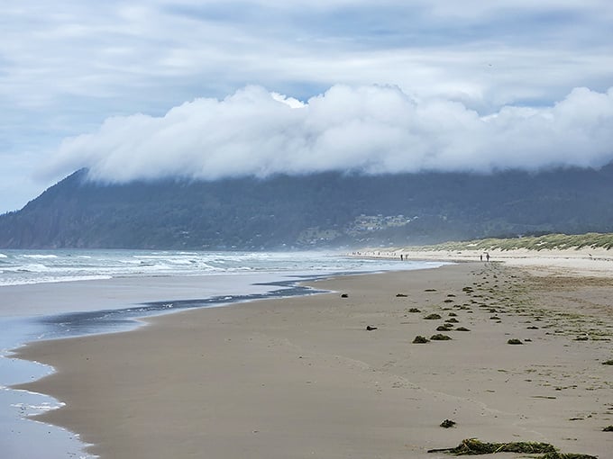Miles of pristine beach at Nehalem Bay. The ocean's way of saying "come sit a while."