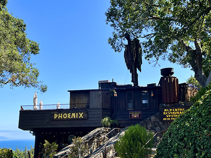 The rustic wooden structure of Nepenthe seems to grow naturally from the cliffside, promising views as spectacular as the food.