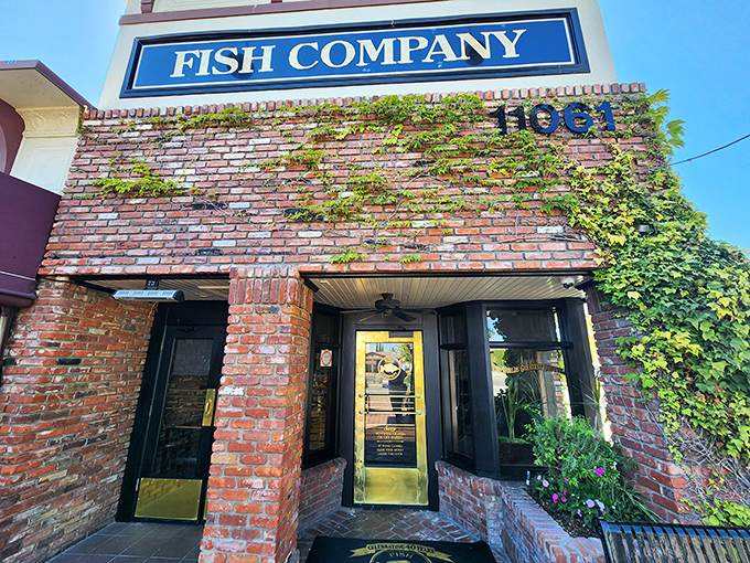 Golden doors welcome you to seafood paradise at Original Fish Co. Where every entrance feels like you're walking into a treasure chest.