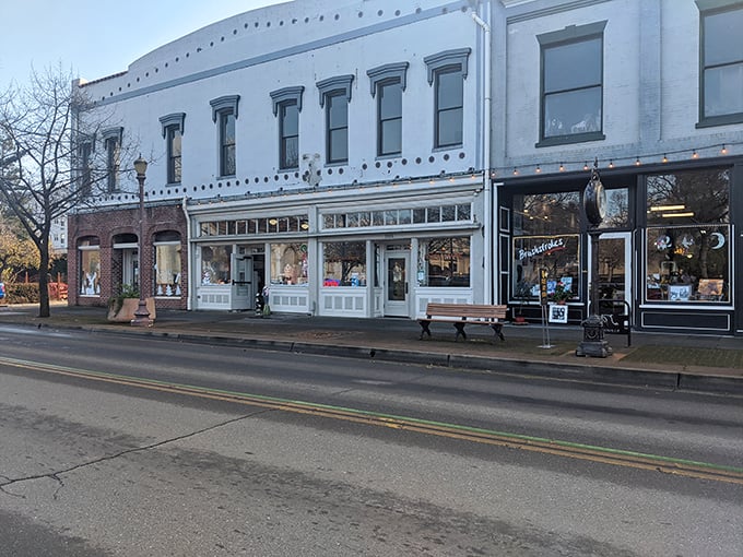 Perfectly preserved architecture gives Oroville its distinctive character. History you can touch without museum admission fees!