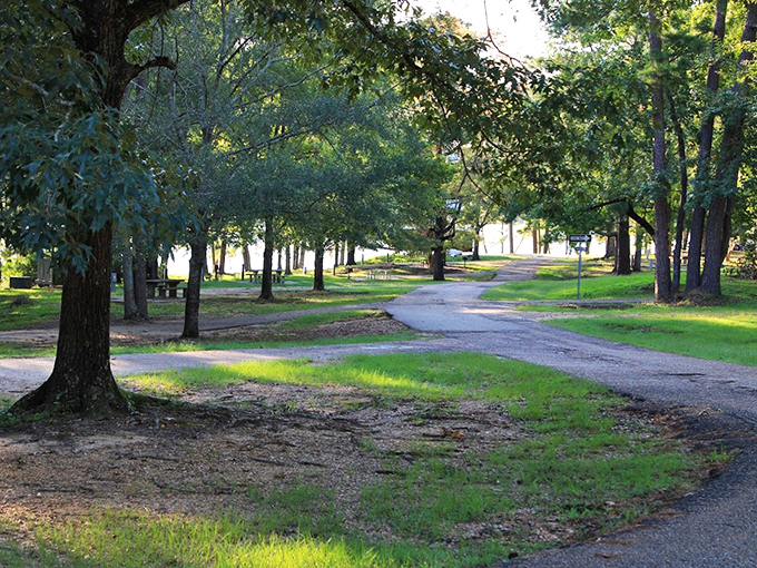 This looks like the beginning of a perfect summer weekend. The soft light and dappled shade lead the eye toward the open water where the picnic tables wait.