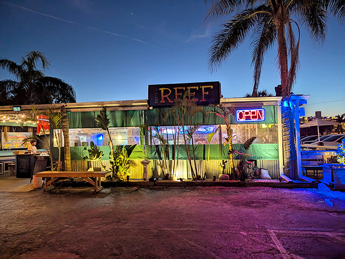 When the sun goes down, Rick's Reef lights up with a magical glow. The kind of place where flip-flops meet five-star flavors.
