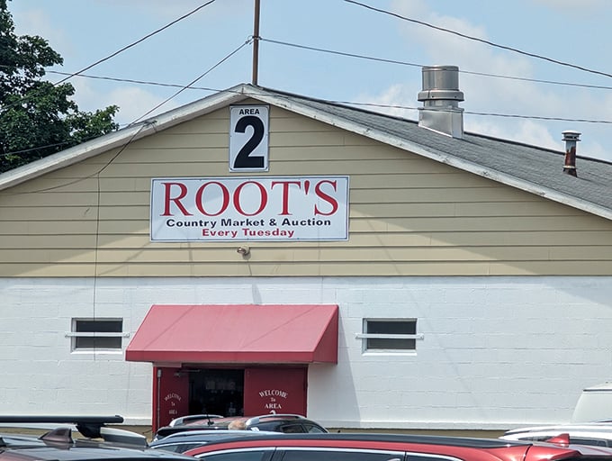 Area 2 might sound mysterious, but at Root's Country Market it simply means you've found another treasure-filled zone.