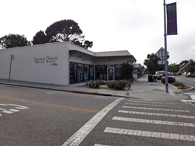 Second Chance sits quietly on the corner, a humble exterior that belies the treasures within. The best discoveries often hide in plain sight!