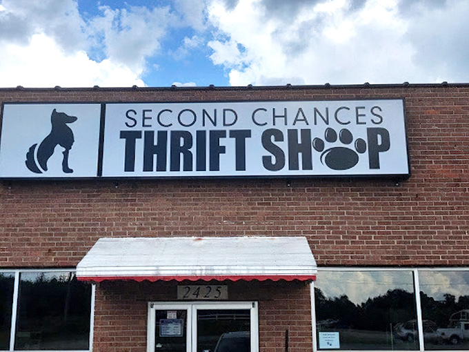 That awning isn't just keeping the sun off&mdash;it's sheltering incredible deals that help support animal rescue efforts.