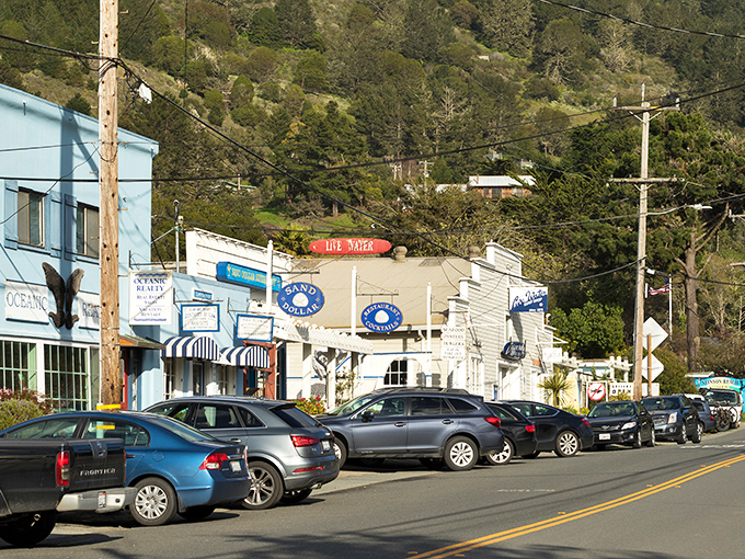 The sun-drenched shops of Stinson Beach invite you to slow down and savor coastal living where the mountains kiss the sea.