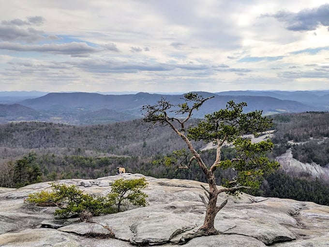 Where earth meets sky in a spectacular standoff. Stone Mountain's views make you forget about that pile of laundry waiting at home.