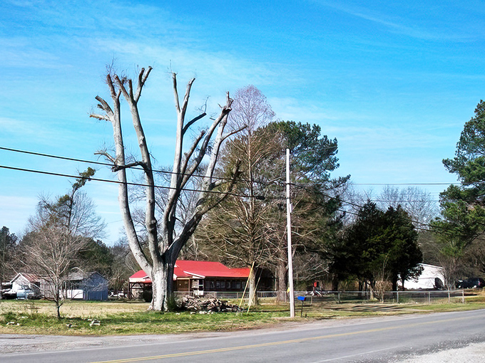 Sumiton's quiet streets lead to affordable homes where your Social Security check might actually leave room for dessert.