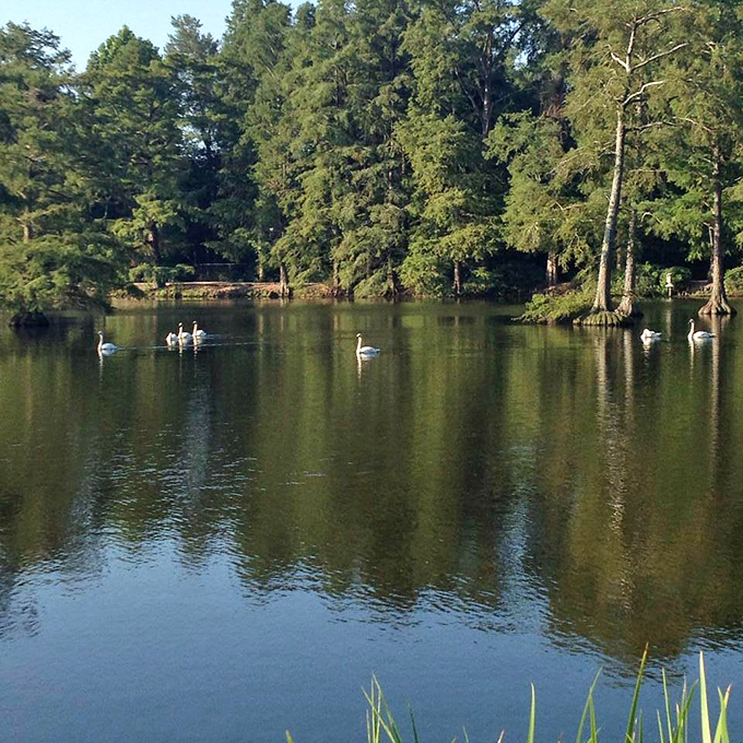 Where community fountains dance and neighbors still wave from their cars like civilized human beings. 