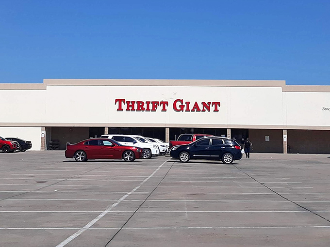 When your thrift store needs a parking lot this size, you know serious shopping awaits.