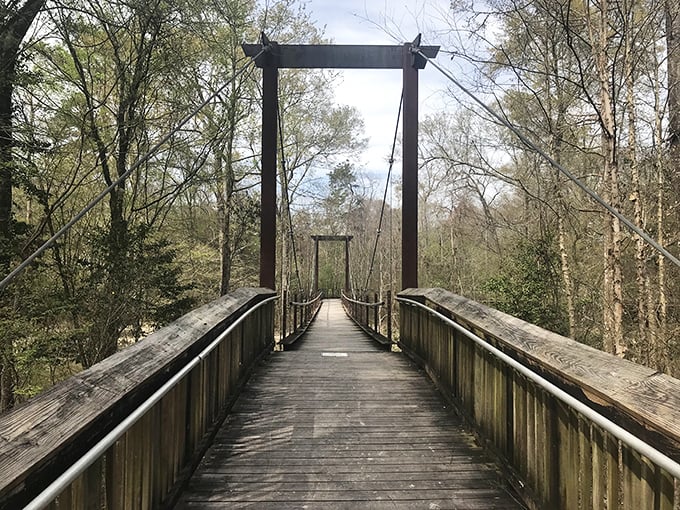 Golden hour transforms the lake into liquid light, while silhouetted trees frame a sunset that stops you in your tracks every time.