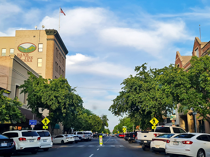 Shaded downtown sidewalks invite leisurely strolls past local shops, where proprietors still remember your name and your usual coffee order too.