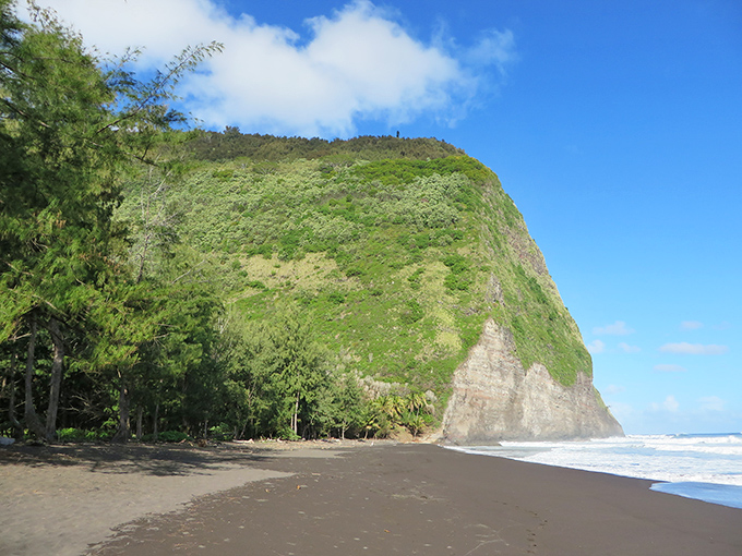 The imposing cliff face of Waipi'o Valley creates a dramatic backdrop for this remote black sand beach. Mother Nature showing off her architectural skills.