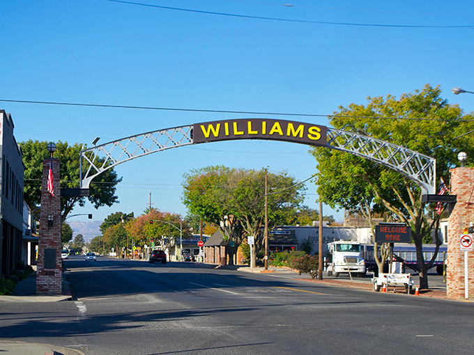 The tree-lined streets of Williams offer small-town tranquility with agricultural charm &ndash; and housing prices that won't give you heart palpitations.