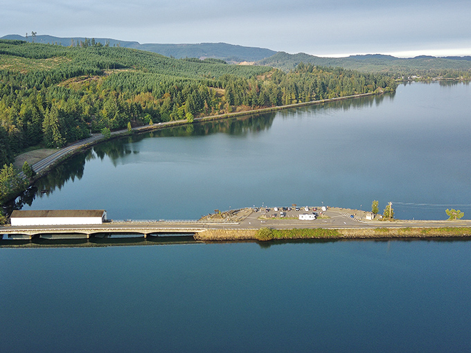 From above, the bridge looks like a tiny white bookmark placed in the vast novel of Oregon's landscape—a human footnote amid nature's epic story.
