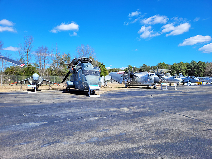The workhorse UH-1 helicopter sits in quiet retirement, having traded its days of dramatic rescues for a life educating wide-eyed visitors about aviation history.